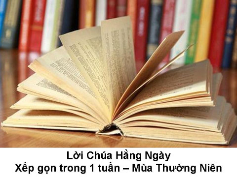 Suy Niệm Lời Chúa Hằng Ngày Xếp gọn trong Tuần 11-2026 Thường Niên